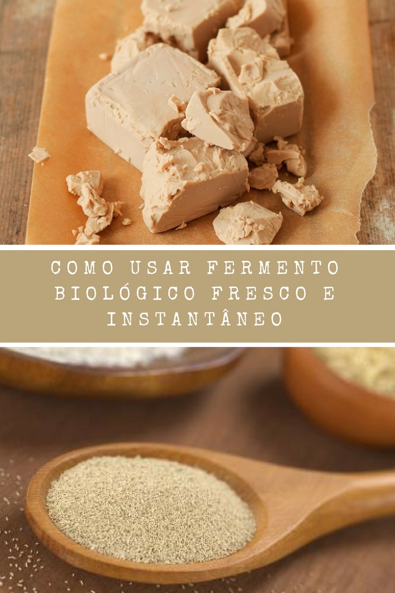 Como usar fermento biológico fresco e instantâneo - Santo Legume